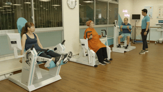 Geriatric Fitness Best Elderly Gym Royalty Free Images, Stock Photos